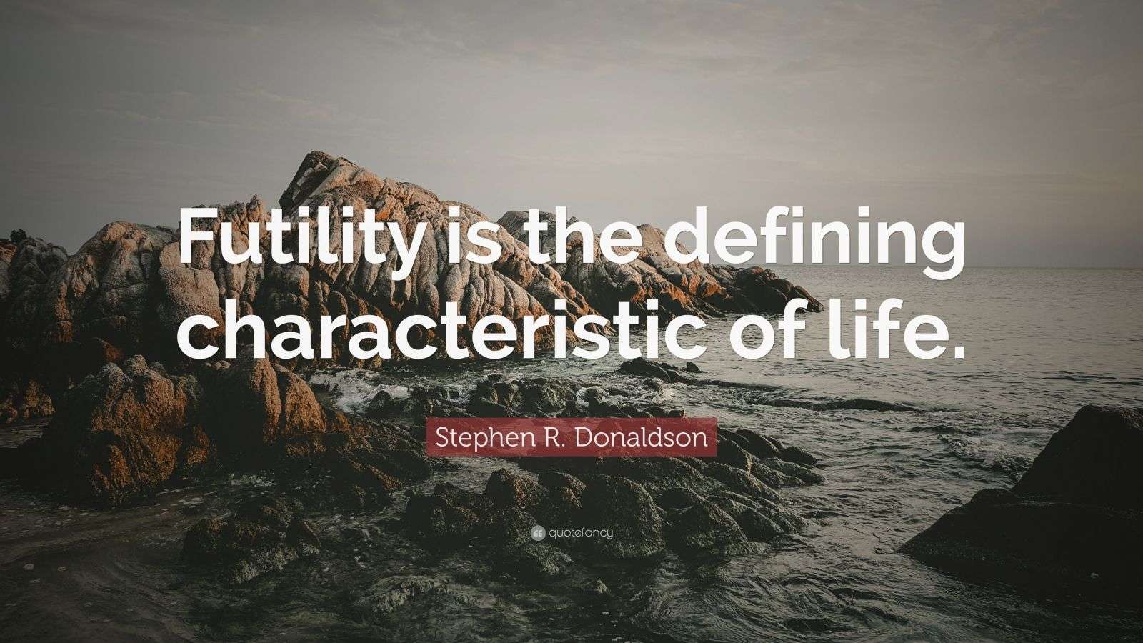 Stephen R. Donaldson Quote: “Futility is the defining characteristic of ...