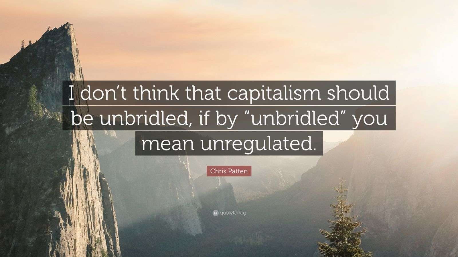 Chris Patten Quote: “I don’t think that capitalism should be unbridled ...