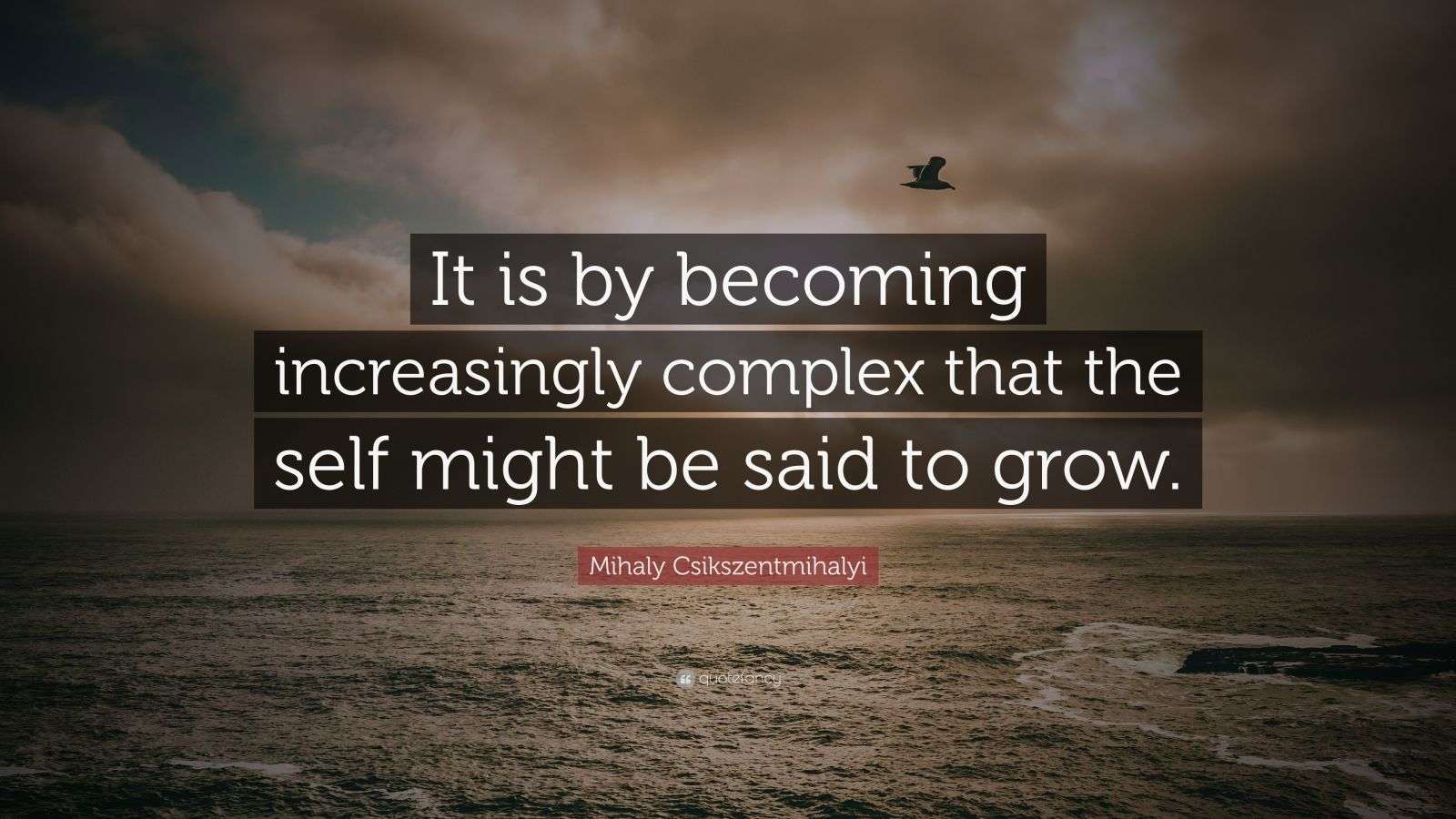 Mihaly Csikszentmihalyi Quote: “It is by becoming increasingly complex ...