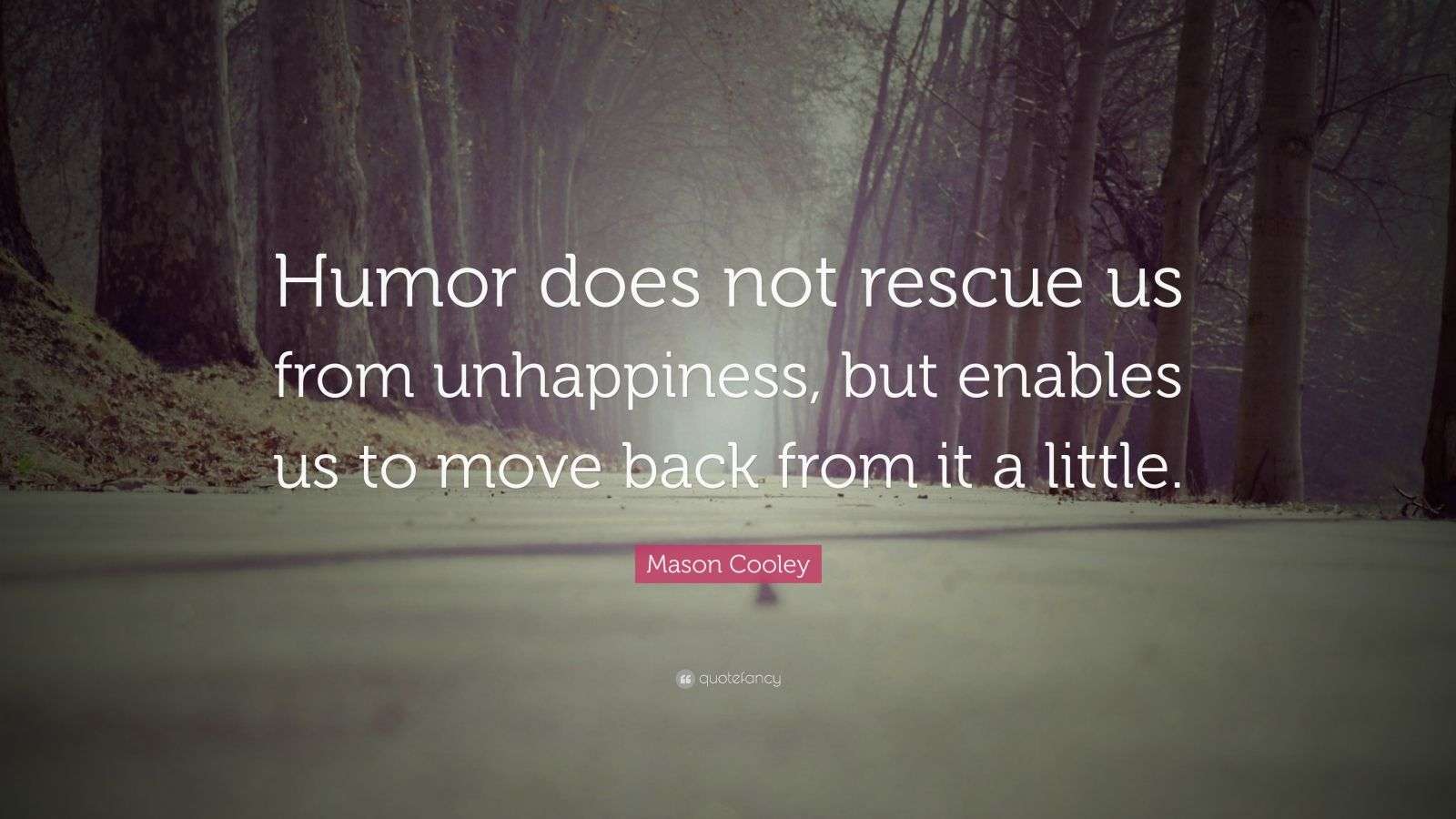 Mason Cooley Quote: “Humor does not rescue us from unhappiness, but ...