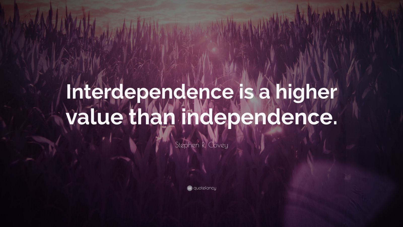 Stephen R. Covey Quote: “Interdependence is a higher value than ...