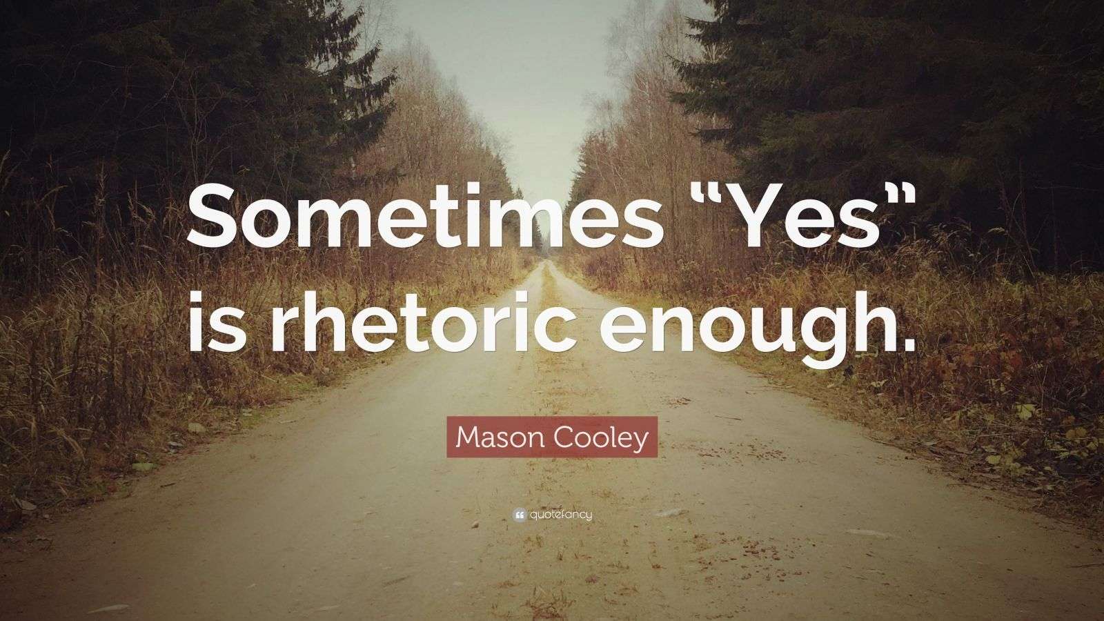 Mason Cooley Quote: “Sometimes “Yes” is rhetoric enough.”