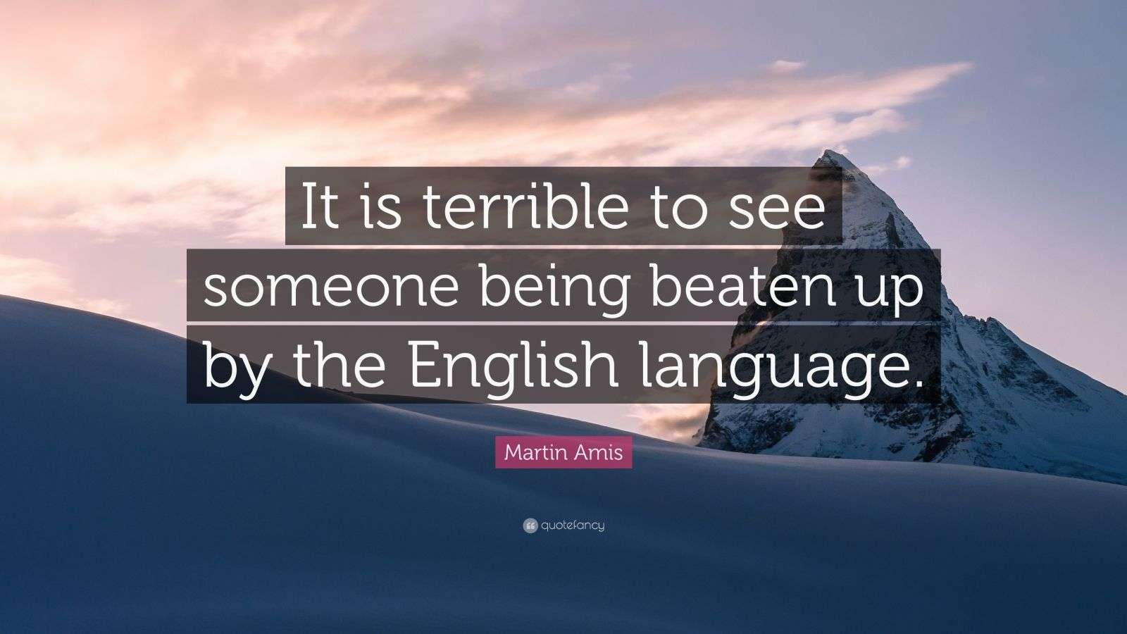 Martin Amis Quote: “It is terrible to see someone being beaten up by ...