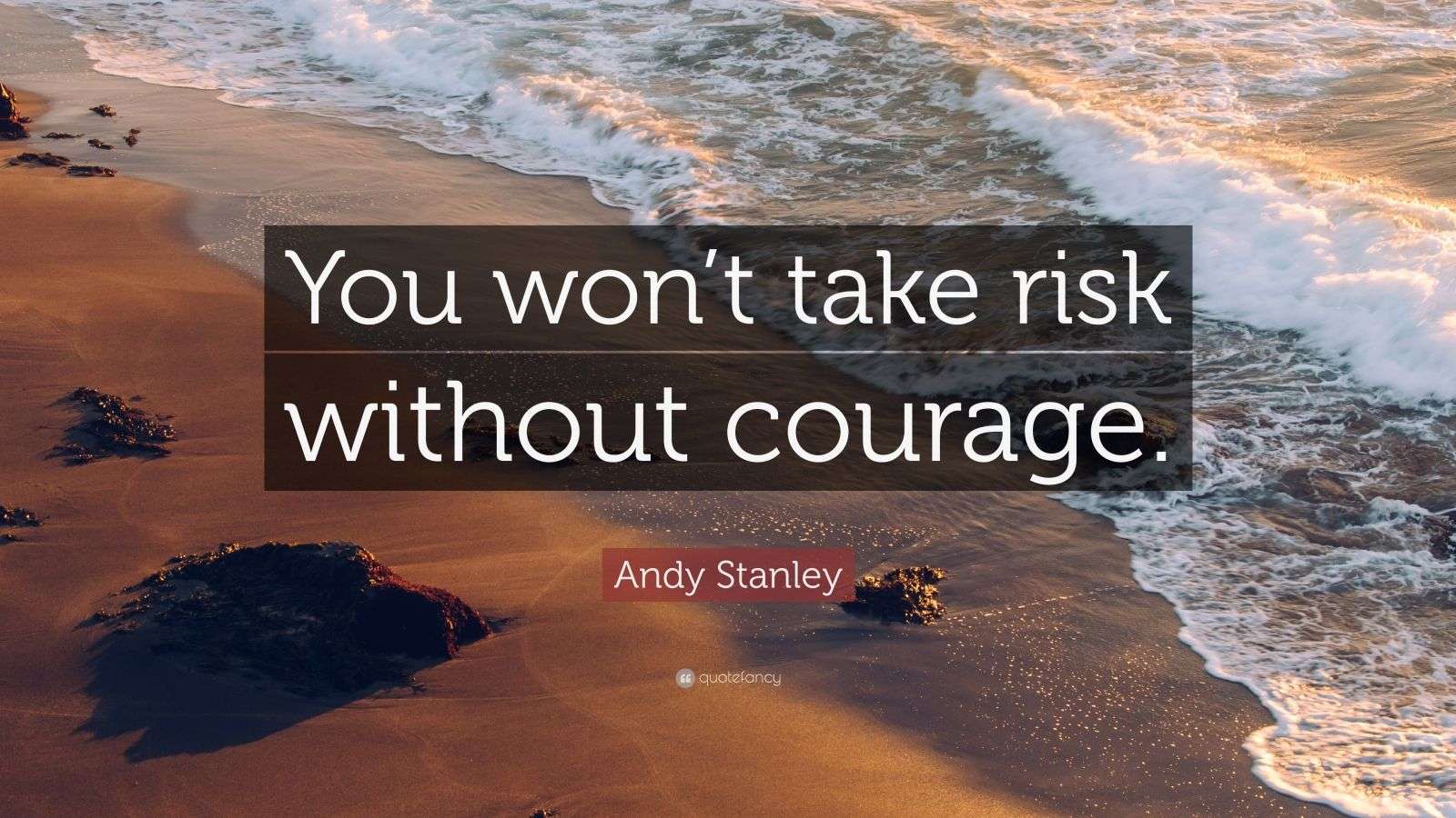 Andy Stanley Quote: “You won’t take risk without courage.”