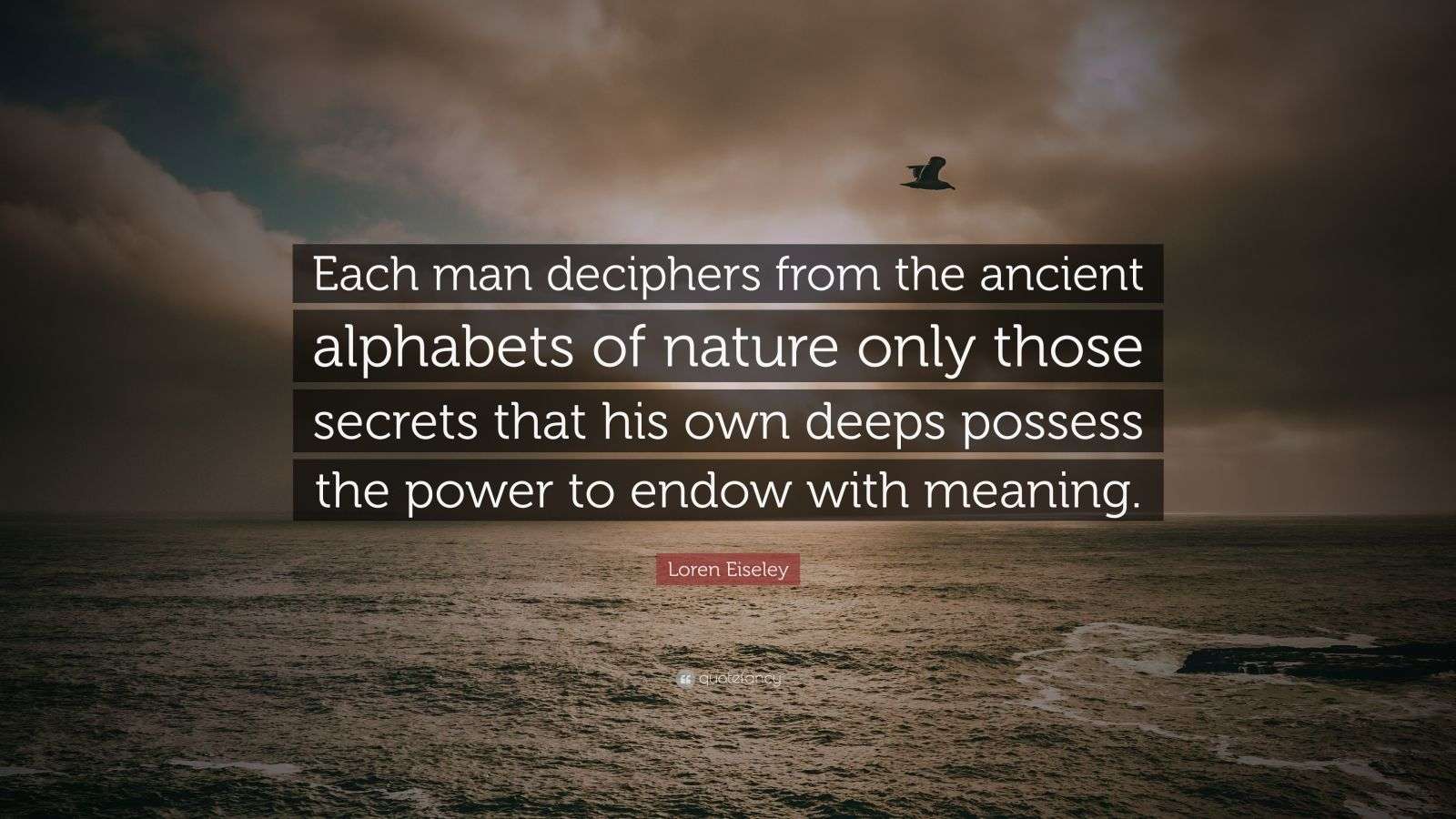 Loren Eiseley Quote: “Each man deciphers from the ancient alphabets of ...