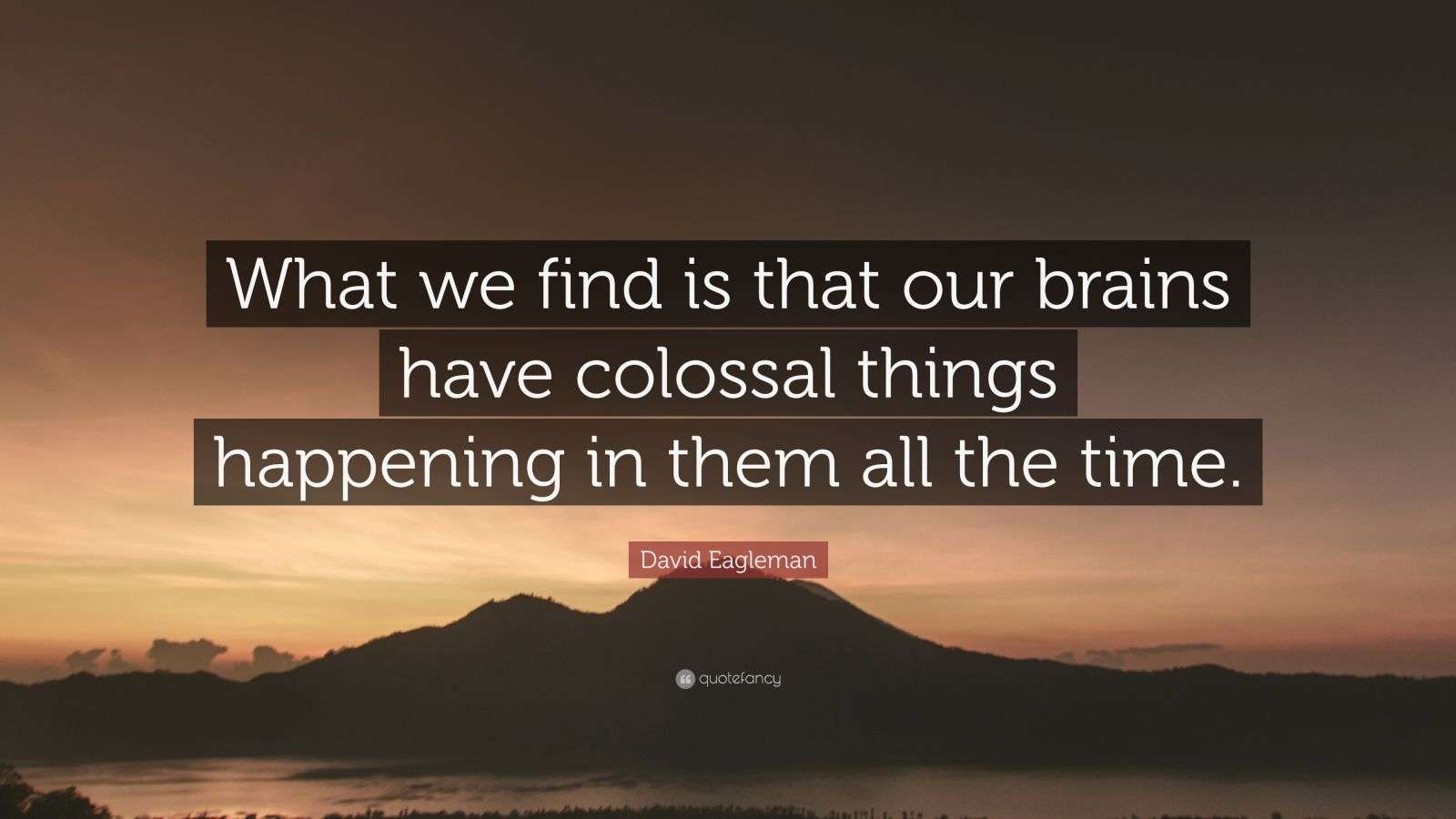 David Eagleman Quote: “What we find is that our brains have colossal ...