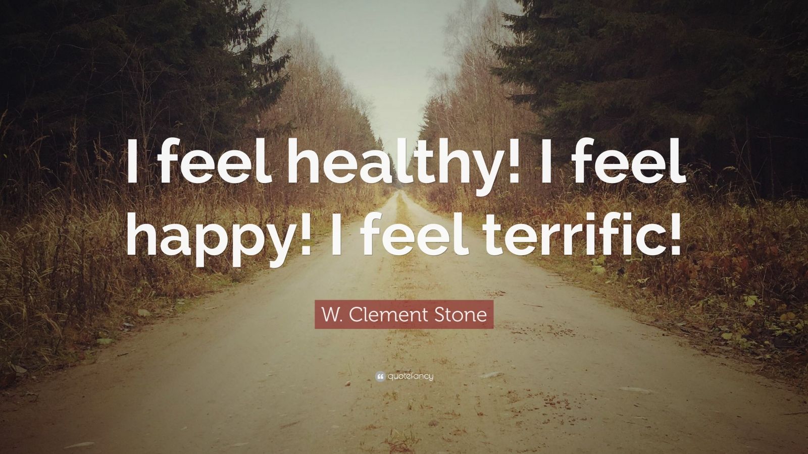 W. Clement Stone Quote: “I feel healthy! I feel happy! I feel terrific ...