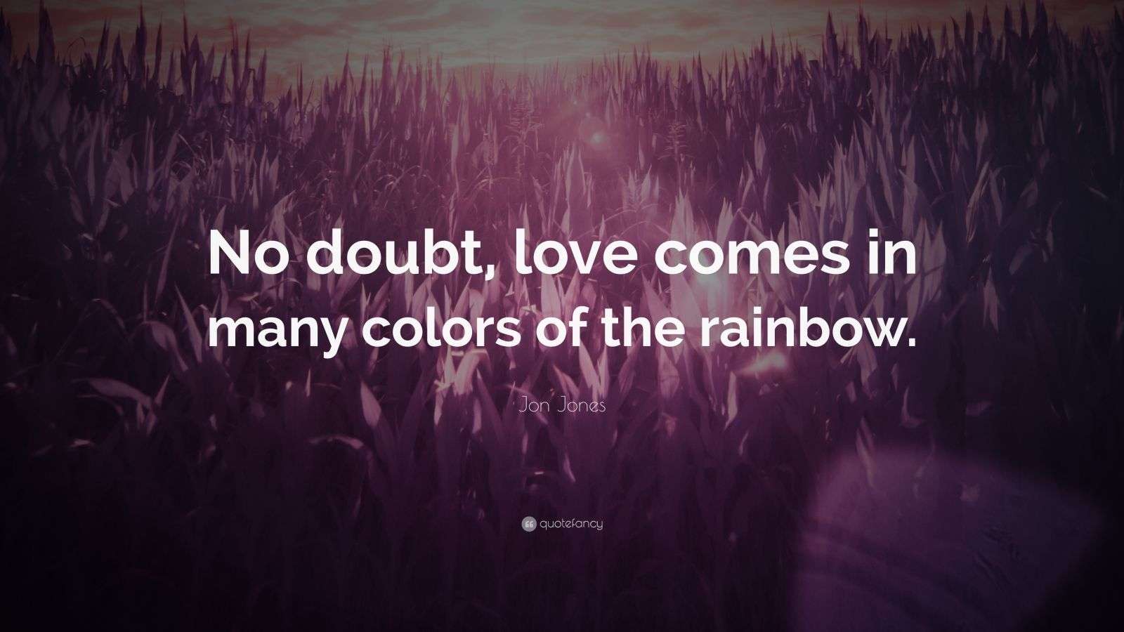 Jon Jones Quote: “No doubt, love comes in many colors of the rainbow.”
