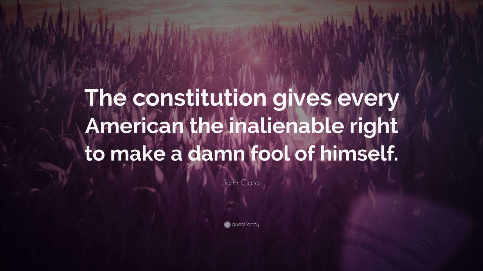 John Ciardi Quote: “The constitution gives every American the ...