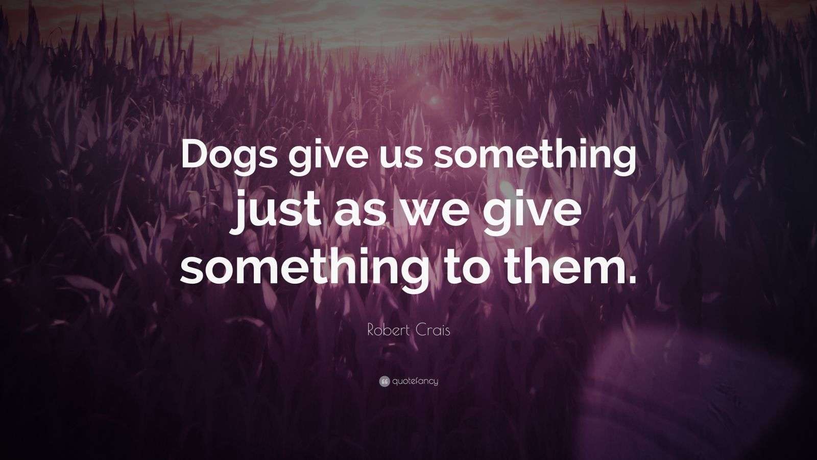 Robert Crais Quote: “Dogs give us something just as we give something ...