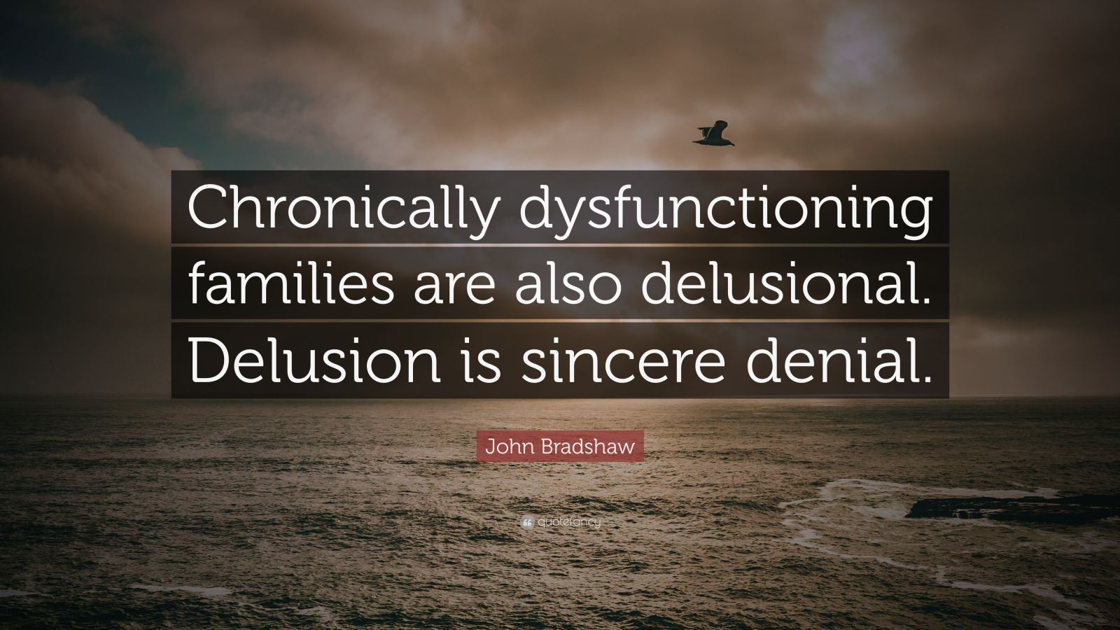 John Bradshaw Quote: “Chronically dysfunctioning families are also ...