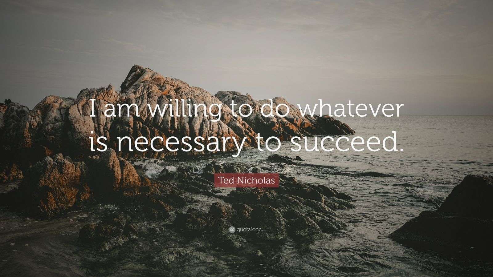 Ted Nicholas Quote: “I am willing to do whatever is necessary to succeed.”