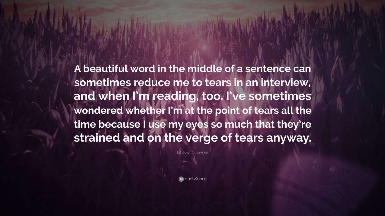 Michael Silverblatt Quote: “A beautiful word in the middle of a ...