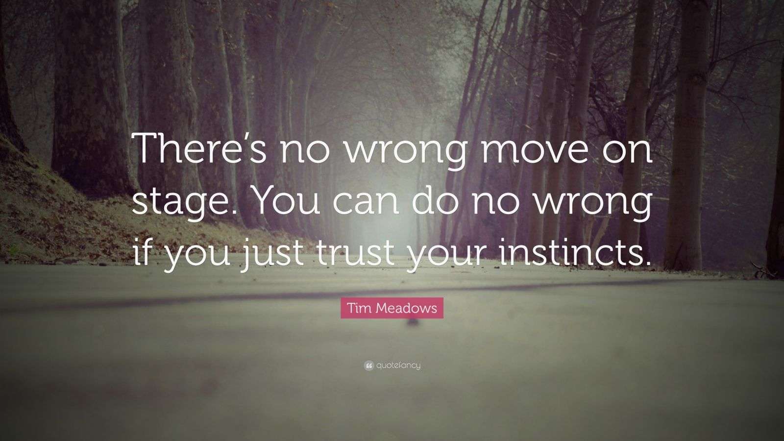 Tim Meadows Quote: “There’s no wrong move on stage. You can do no wrong ...