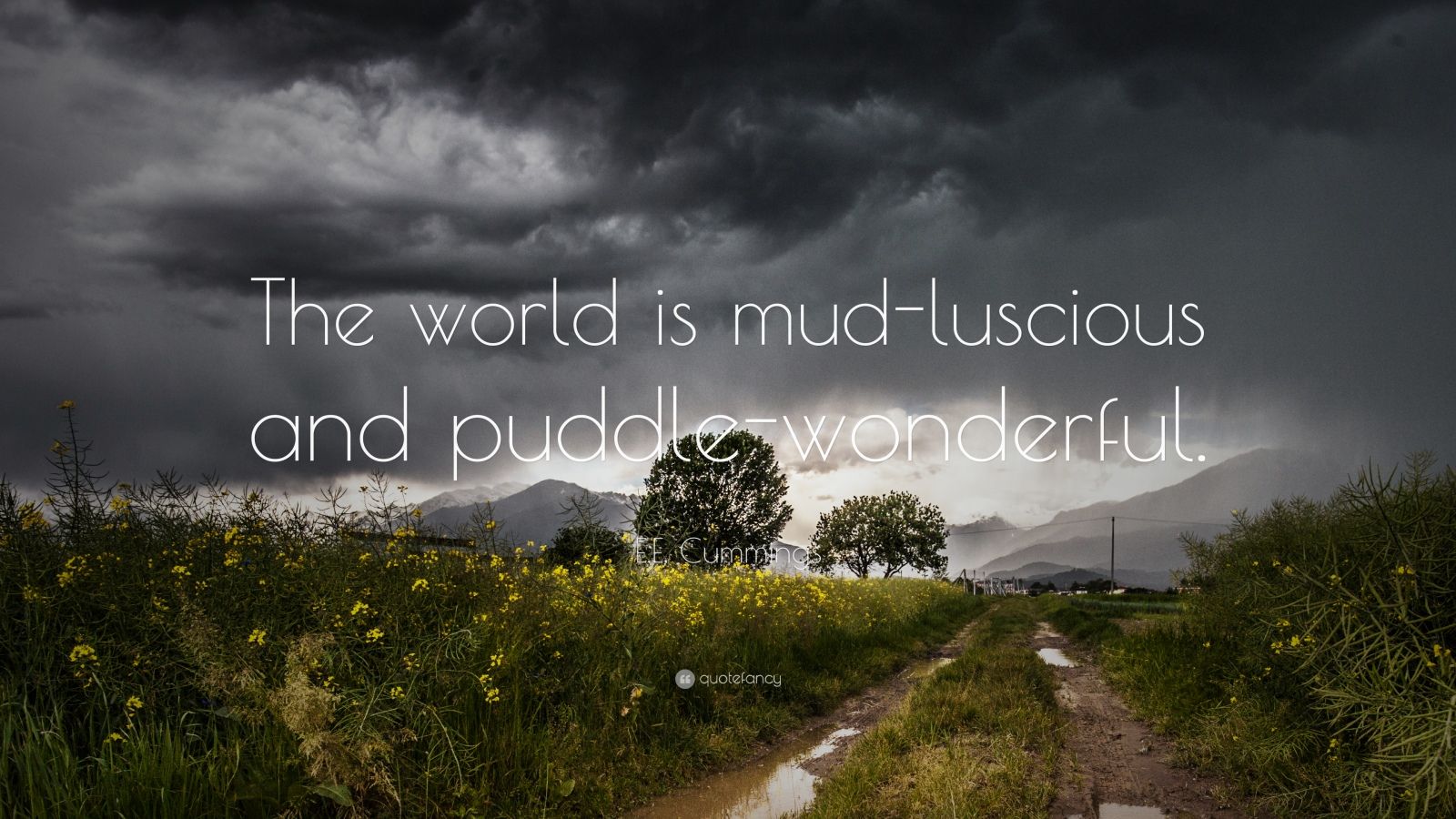 E.E. Cummings Quote: “The world is mud-luscious and puddle-wonderful.”