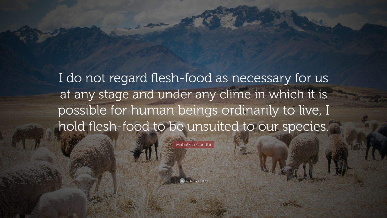 Mahatma Gandhi Quote: “I do not regard flesh-food as necessary for us ...
