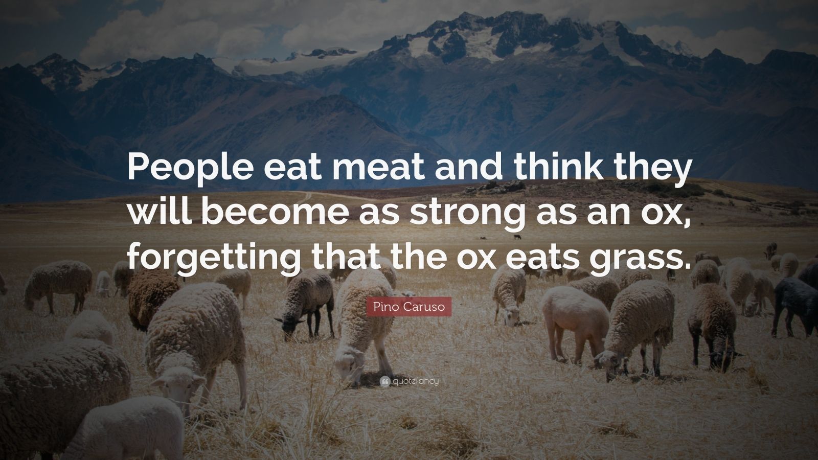 Pino Caruso Quote: “People eat meat and think they will become as ...