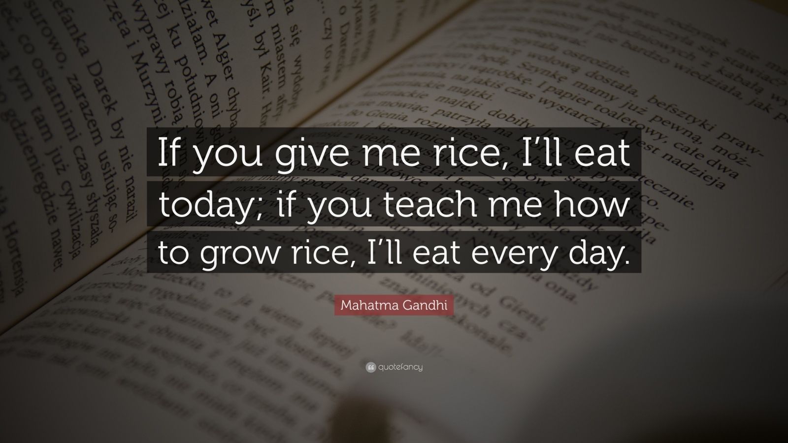 Mahatma Gandhi Quote: “If you give me rice, I’ll eat today; if you ...