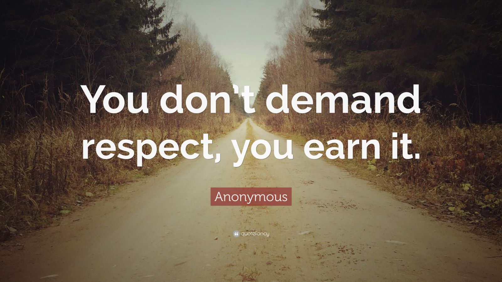 Anonymous Quote: “You don’t demand respect, you earn it.” (22 ...