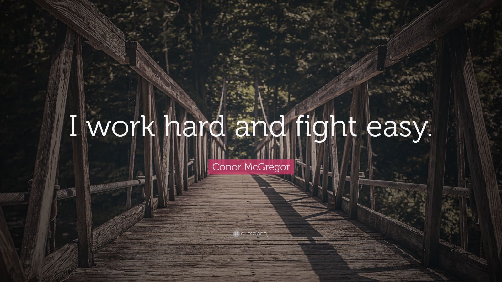 Conor McGregor Quote: “I work hard and fight easy.” (17 wallpapers ...