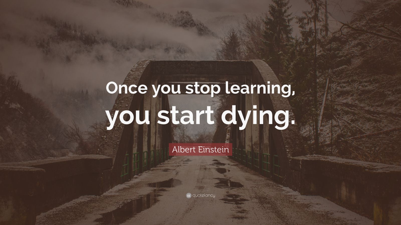 Albert Einstein Quote: “Once you stop learning, you start dying.” (12 ...