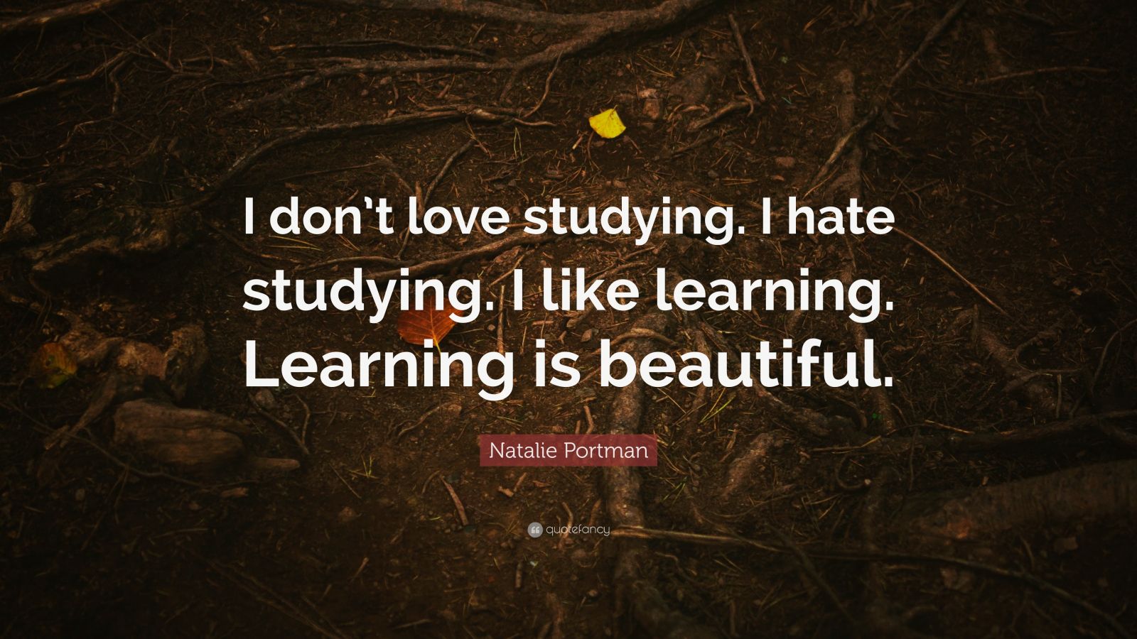 Natalie Portman Quote: “I don’t love studying. I hate studying. I like ...