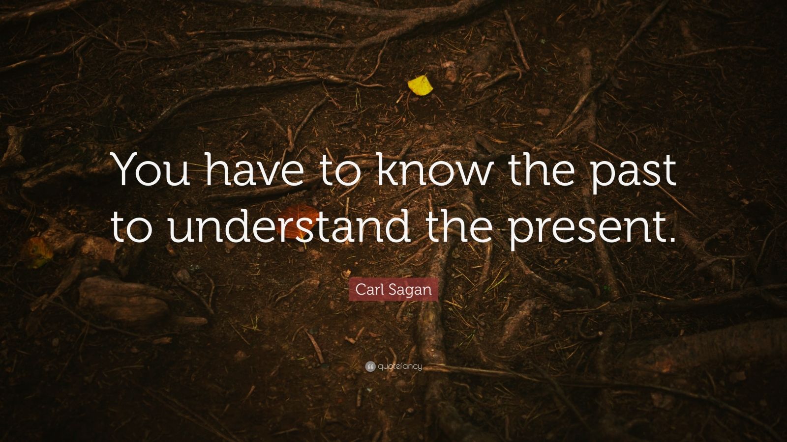 Carl Sagan Quote: “You have to know the past to understand the present ...