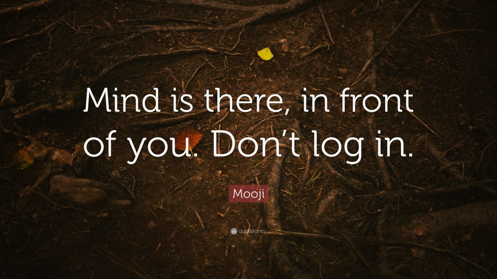 Mooji Quote: “Mind is there, in front of you. Don’t log in.” (12 ...