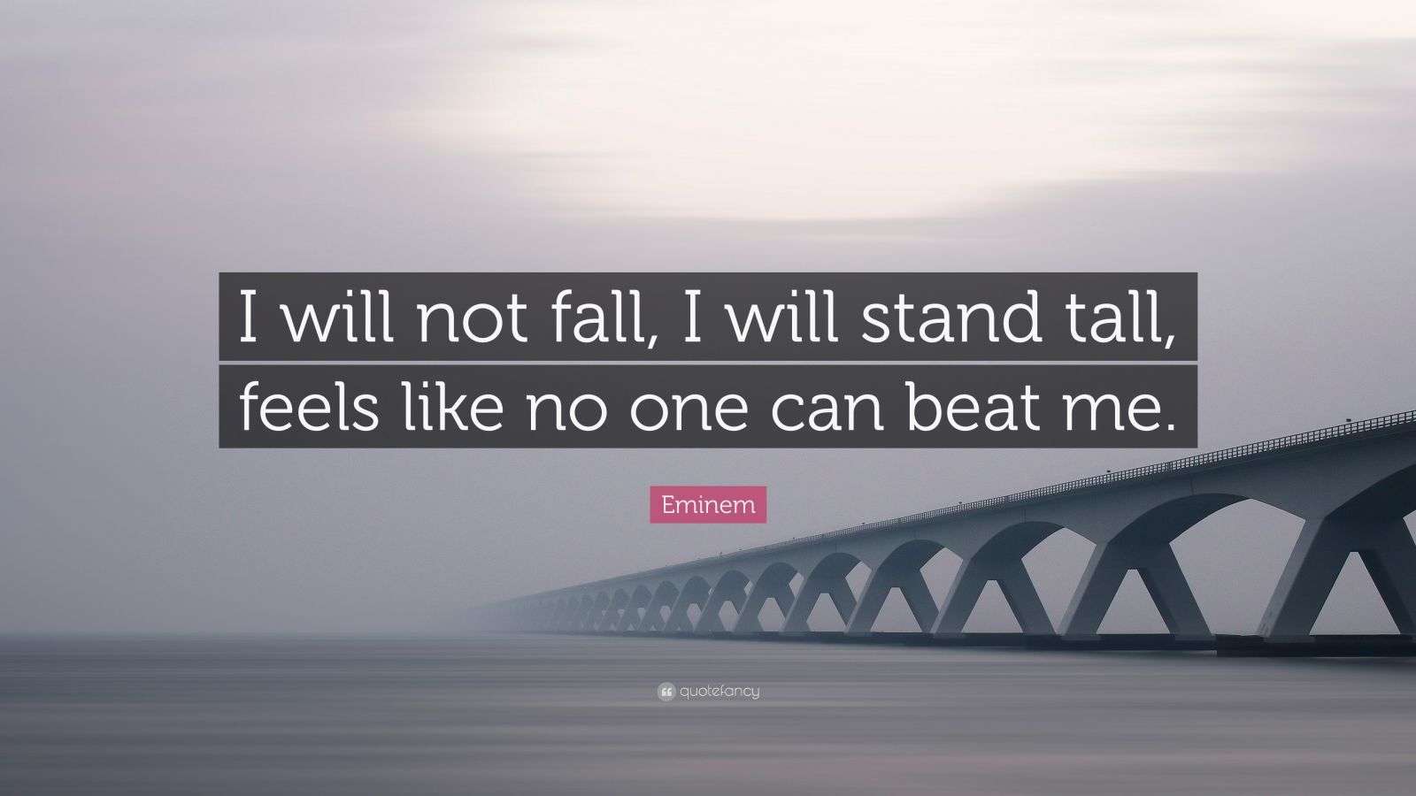 Eminem Quote: “I will not fall, I will stand tall, feels like no one ...