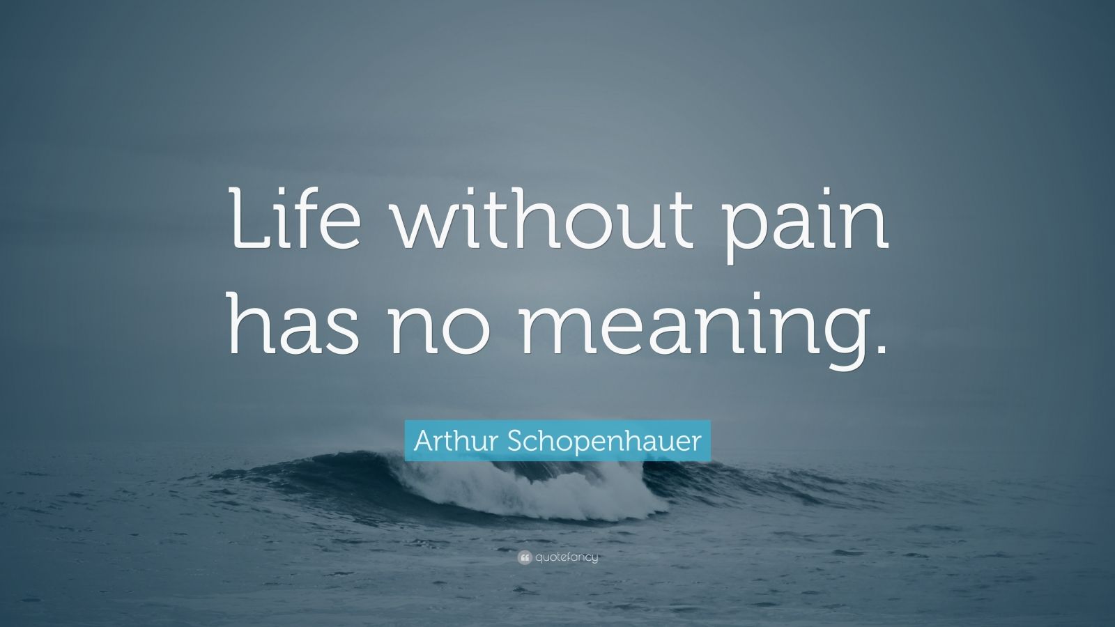 Arthur Schopenhauer Quote: “Life without pain has no meaning.” (12 ...