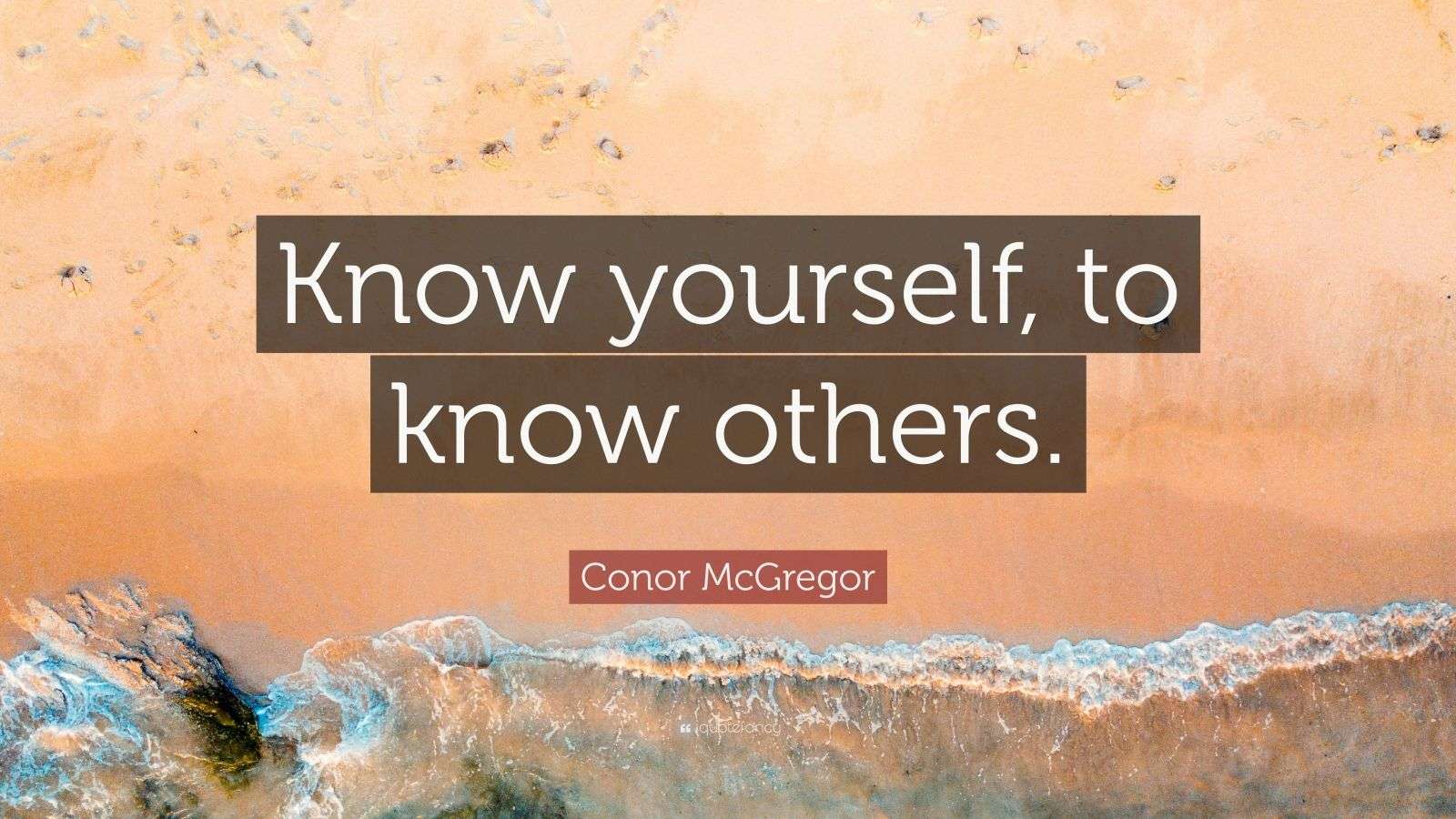 Conor McGregor Quote: “Know yourself, to know others.” (12 wallpapers ...