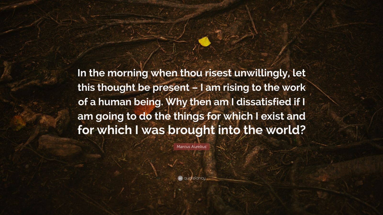 Marcus Aurelius Quote: “In the morning when thou risest unwillingly ...
