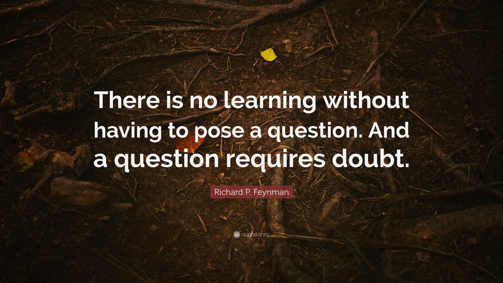 Richard P. Feynman Quote: “There is no learning without having to pose ...