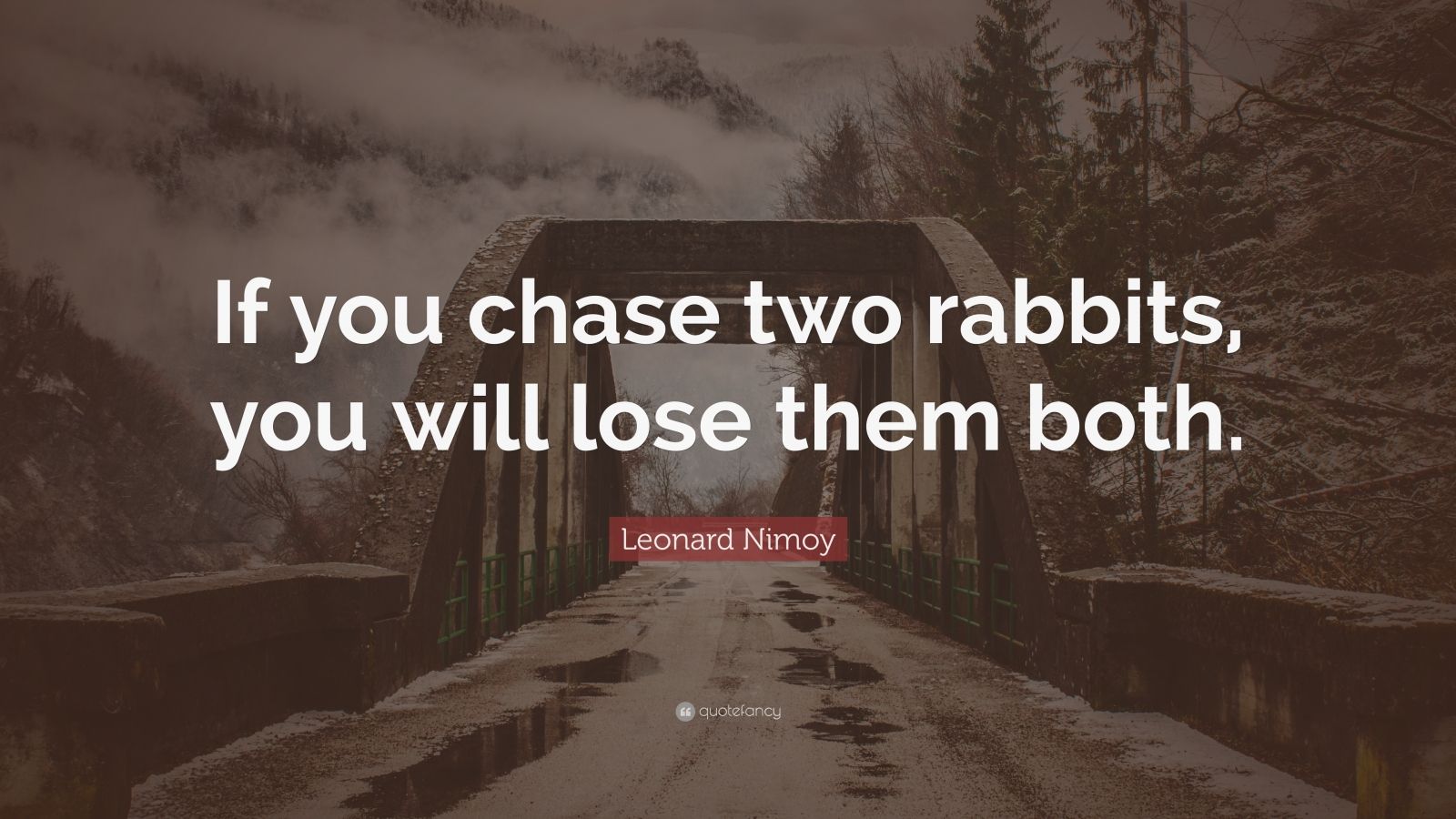 Leonard Nimoy Quote: “If you chase two rabbits, you will lose them both ...