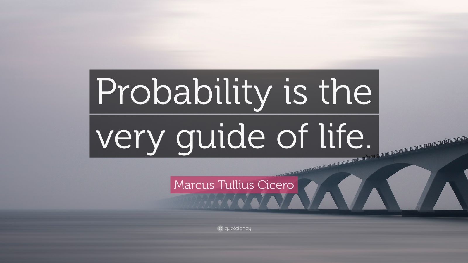 Marcus Tullius Cicero Quote: “Probability is the very guide of life ...