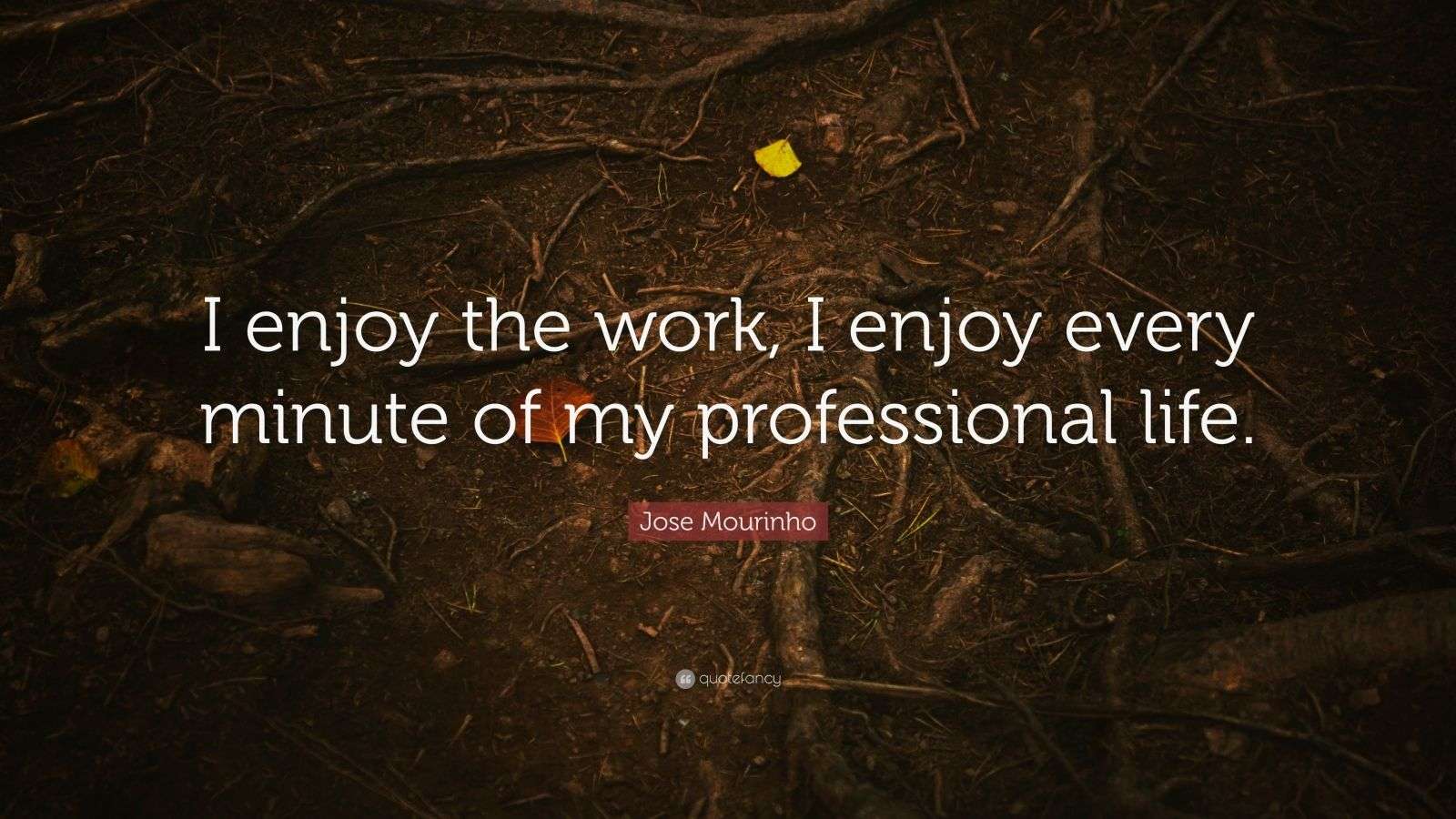 Jose Mourinho Quote: “I enjoy the work, I enjoy every minute of my ...