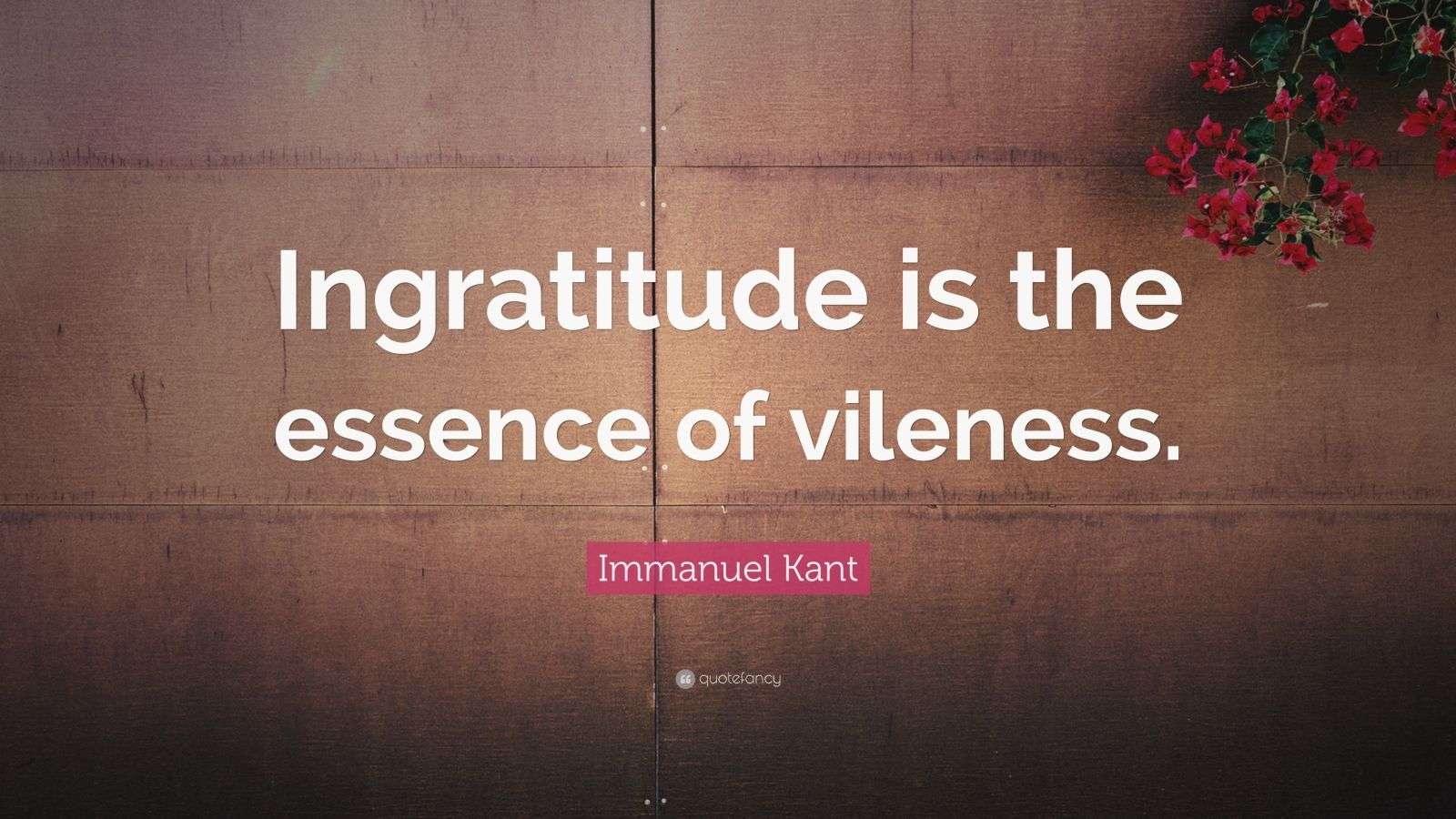 Immanuel Kant Quote: “Ingratitude is the essence of vileness.” (12 ...