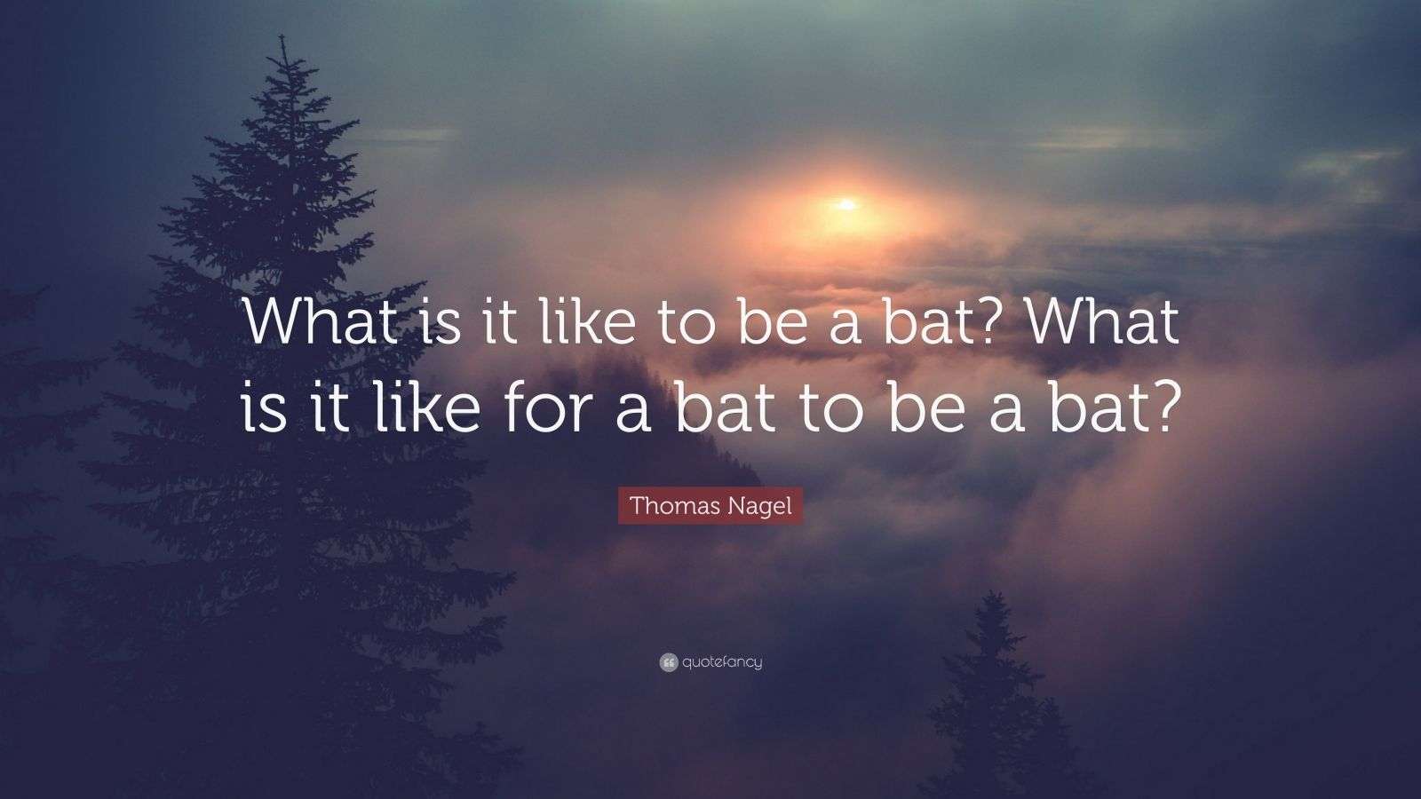 Thomas Nagel Quote: “What is it like to be a bat? What is it like for a ...