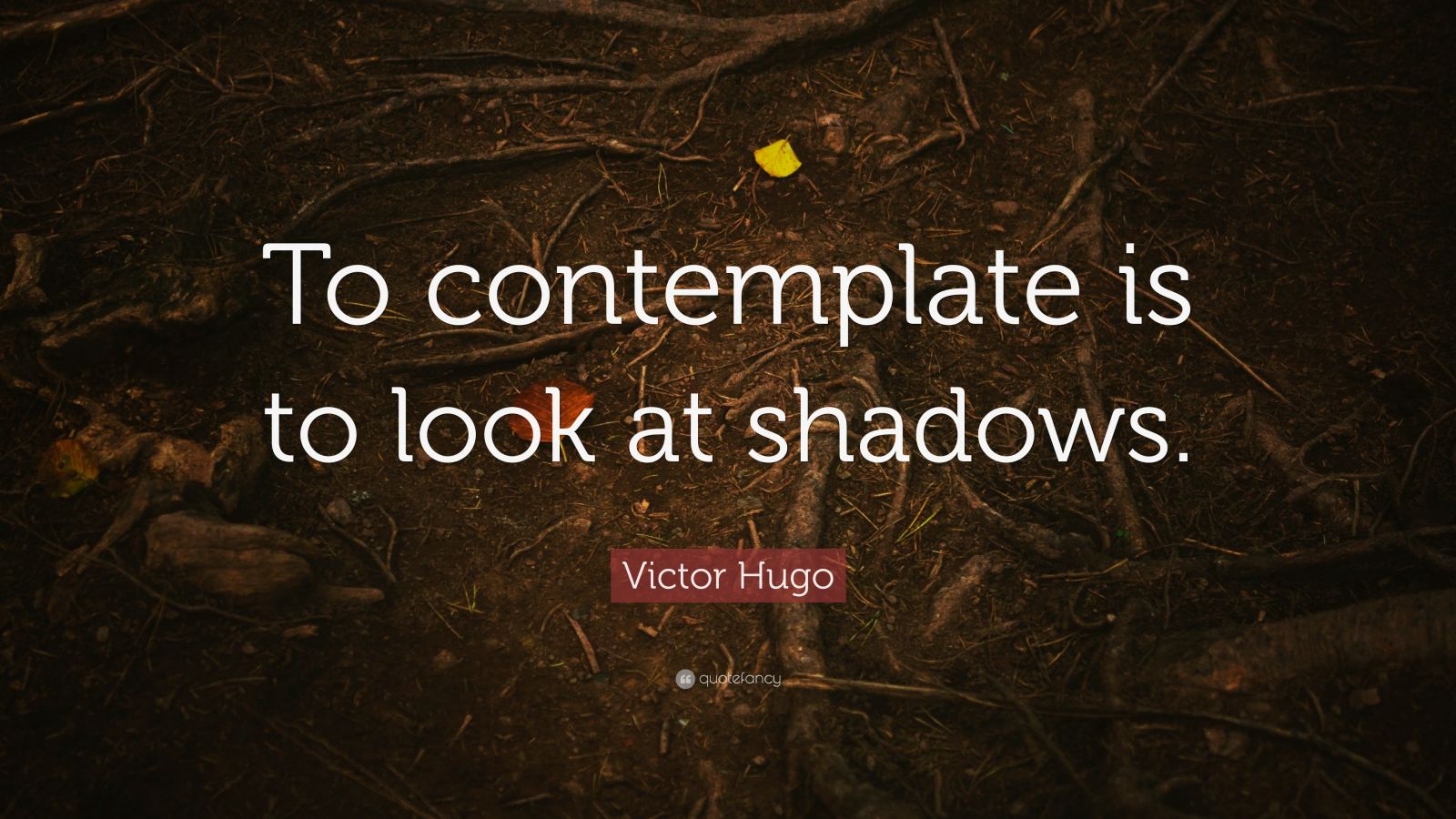 Victor Hugo Quote: “To contemplate is to look at shadows.” (12 ...