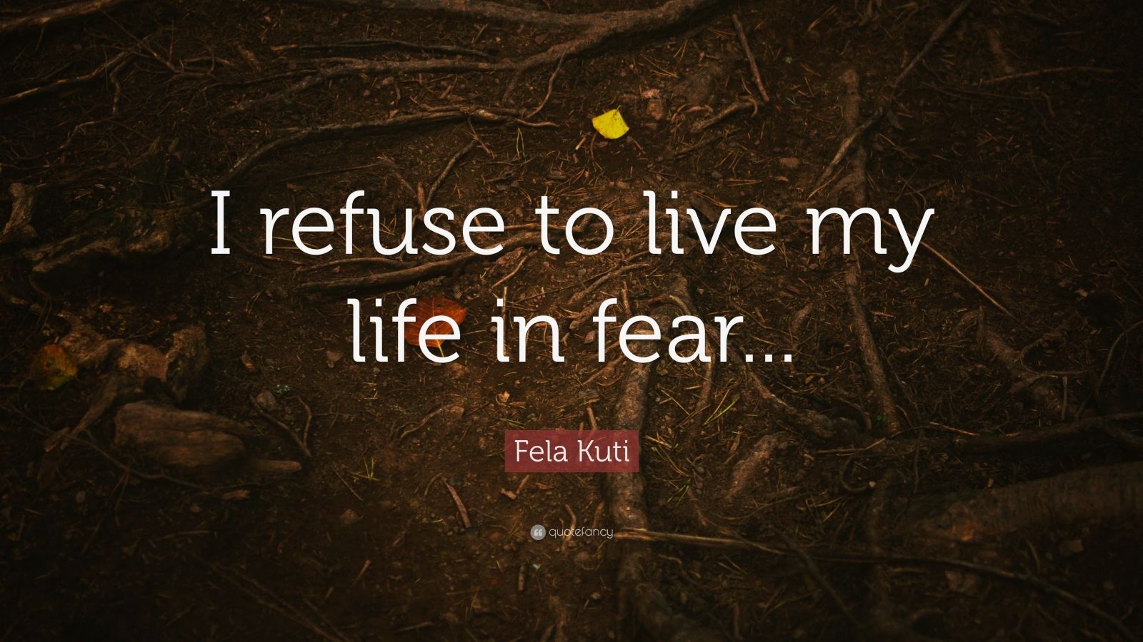 Fela Kuti Quote: “I refuse to live my life in fear...” (10 wallpapers ...