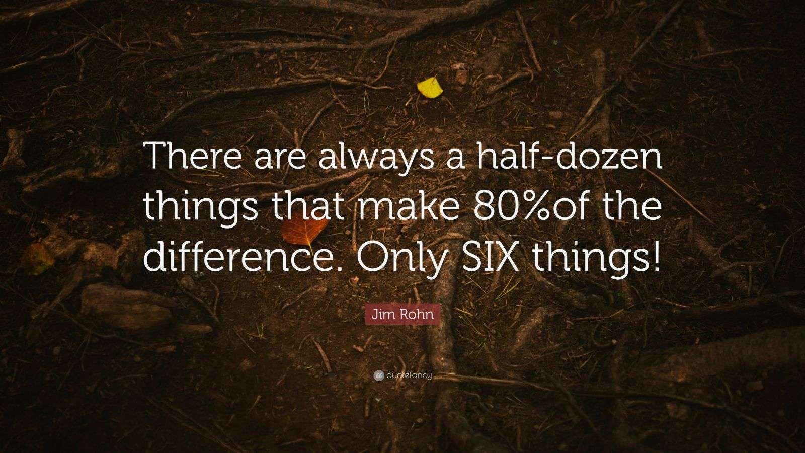 Jim Rohn Quote: “There are always a half-dozen things that make 80%of ...