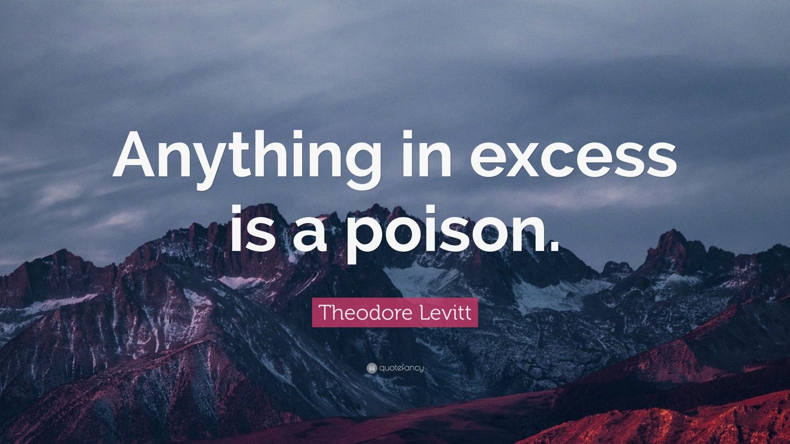 Theodore Levitt Quote: “Anything in excess is a poison.” (12 wallpapers ...