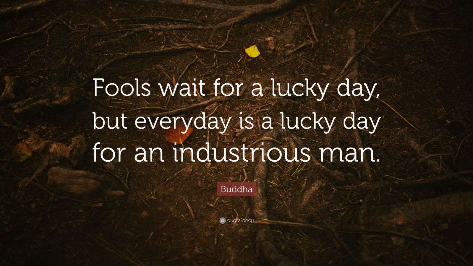 Buddha Quote: “Fools wait for a lucky day, but everyday is a lucky day ...