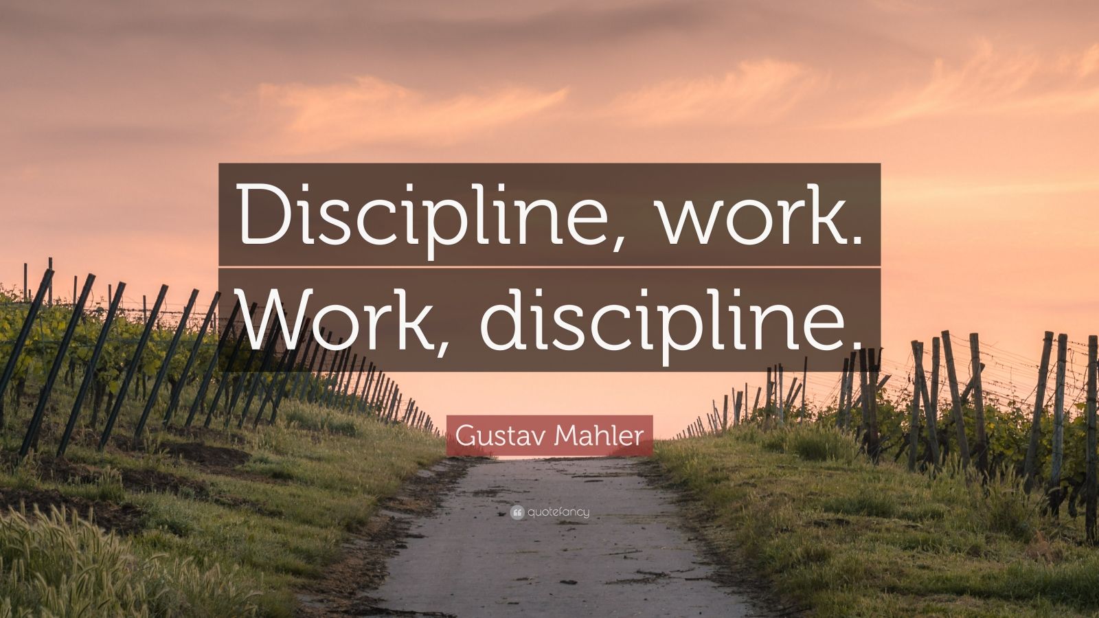 Gustav Mahler Quote: “Discipline, work. Work, discipline.” (7 ...