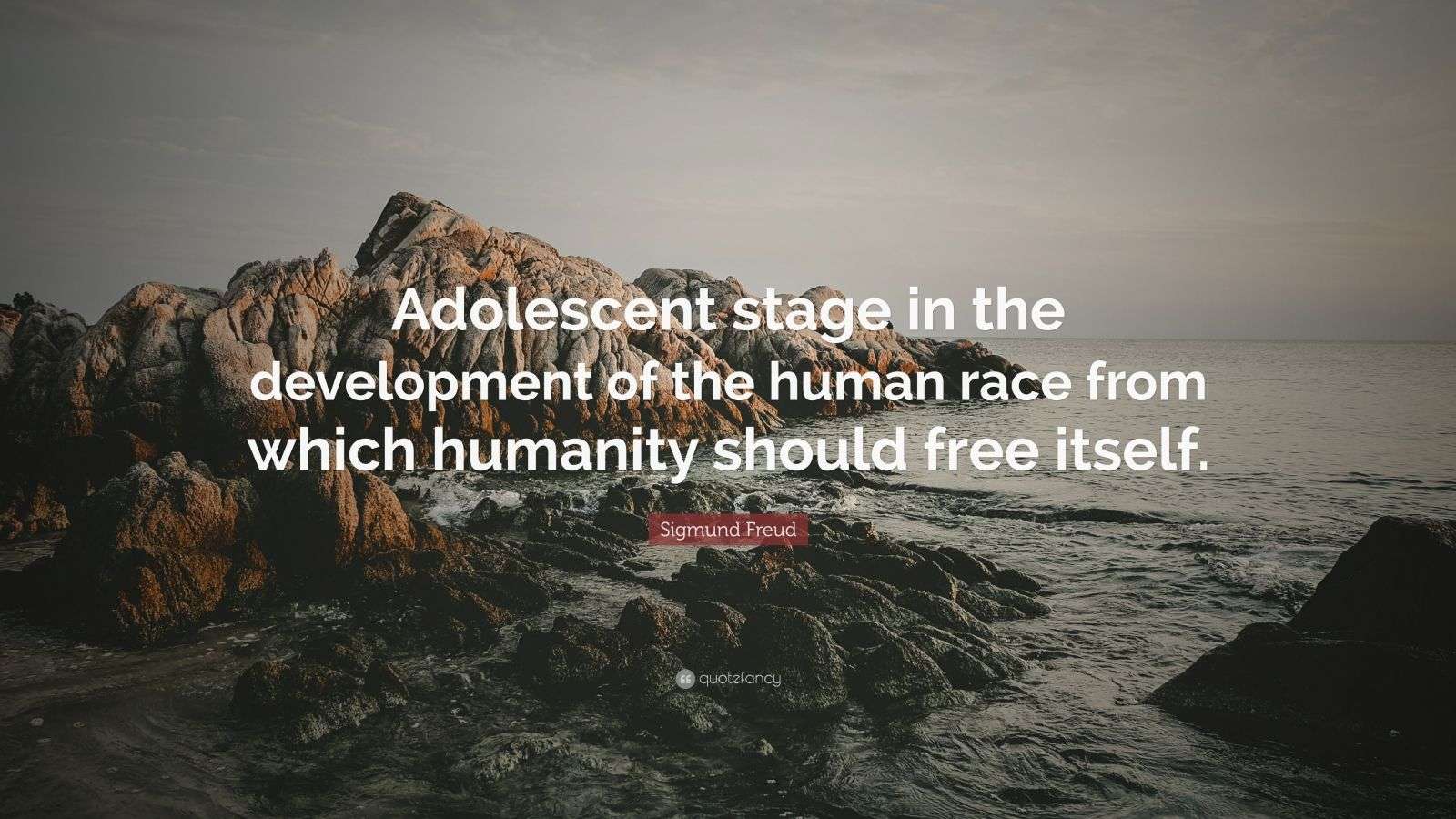 Sigmund Freud Quote: “Adolescent stage in the development of the human ...