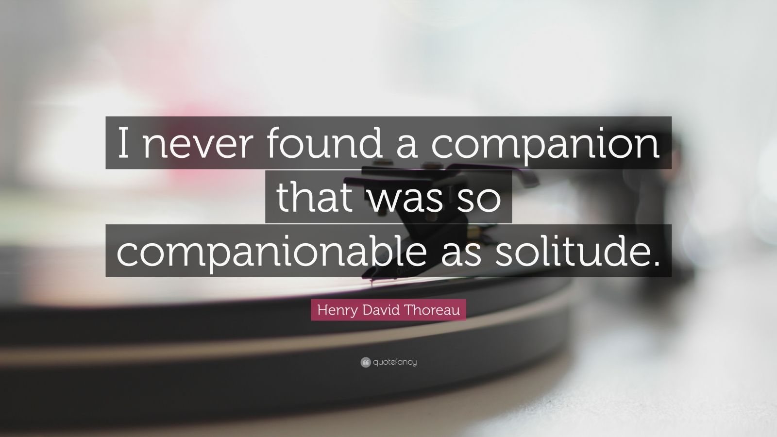 Henry David Thoreau Quote: “I never found a companion that was so ...
