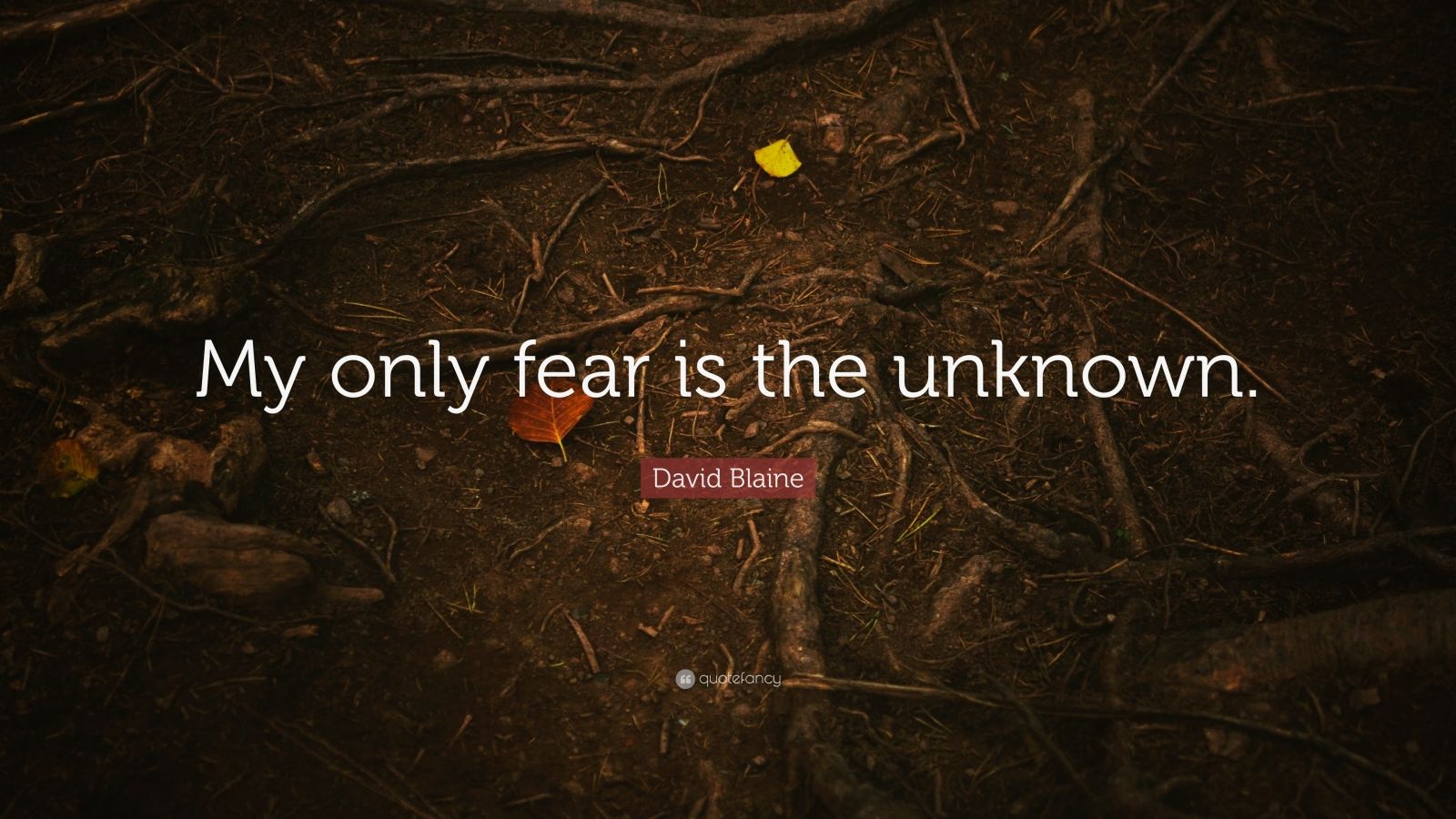 David Blaine Quote: “My only fear is the unknown.” (7 wallpapers ...