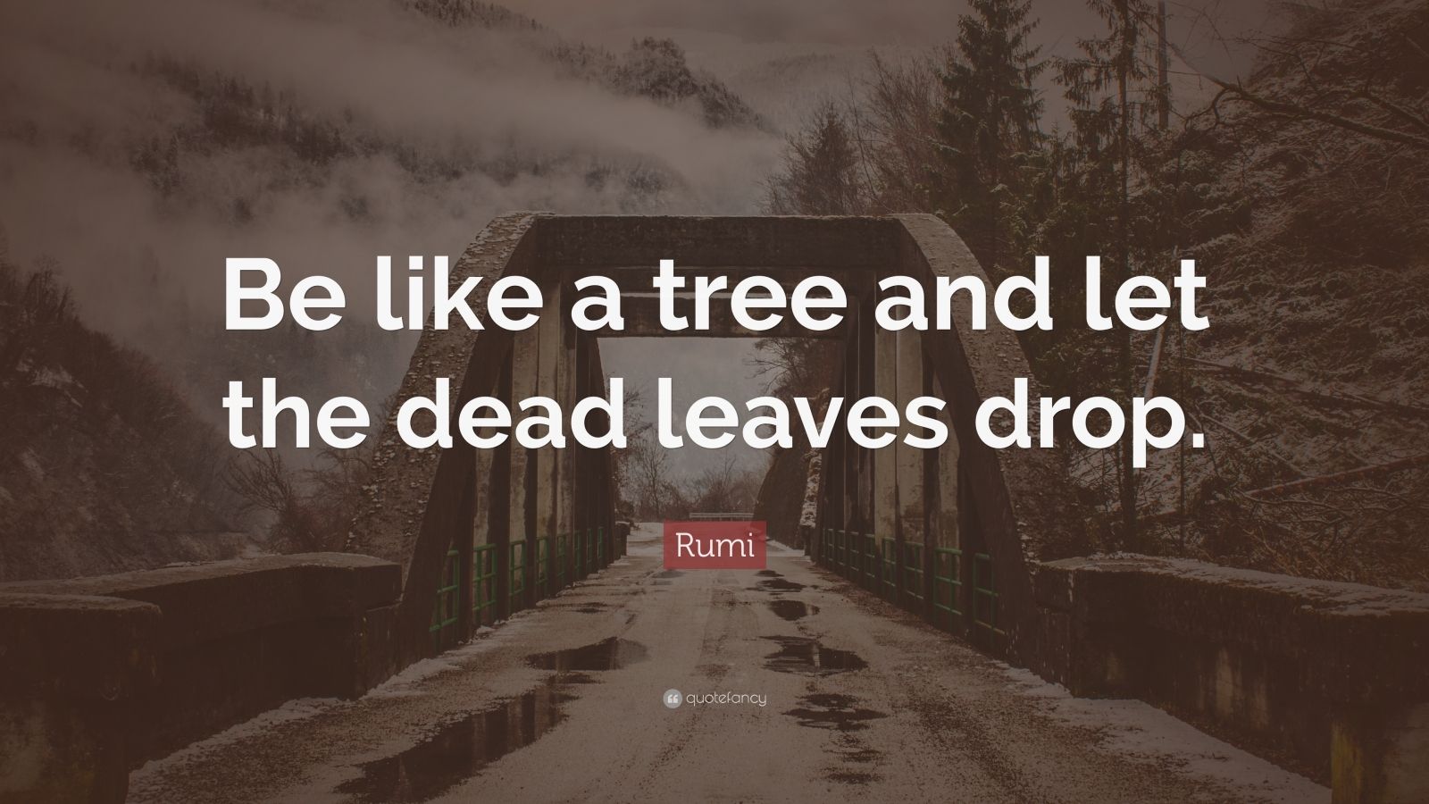 Rumi Quote: “Be like a tree and let the dead leaves drop.” (10 ...
