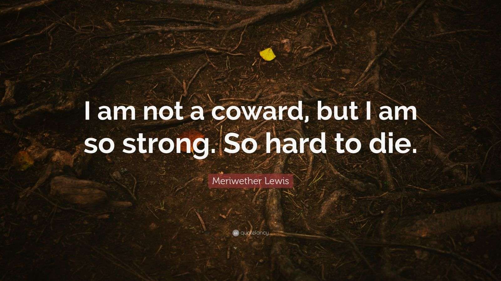 Meriwether Lewis Quote: “I am not a coward, but I am so strong. So hard ...