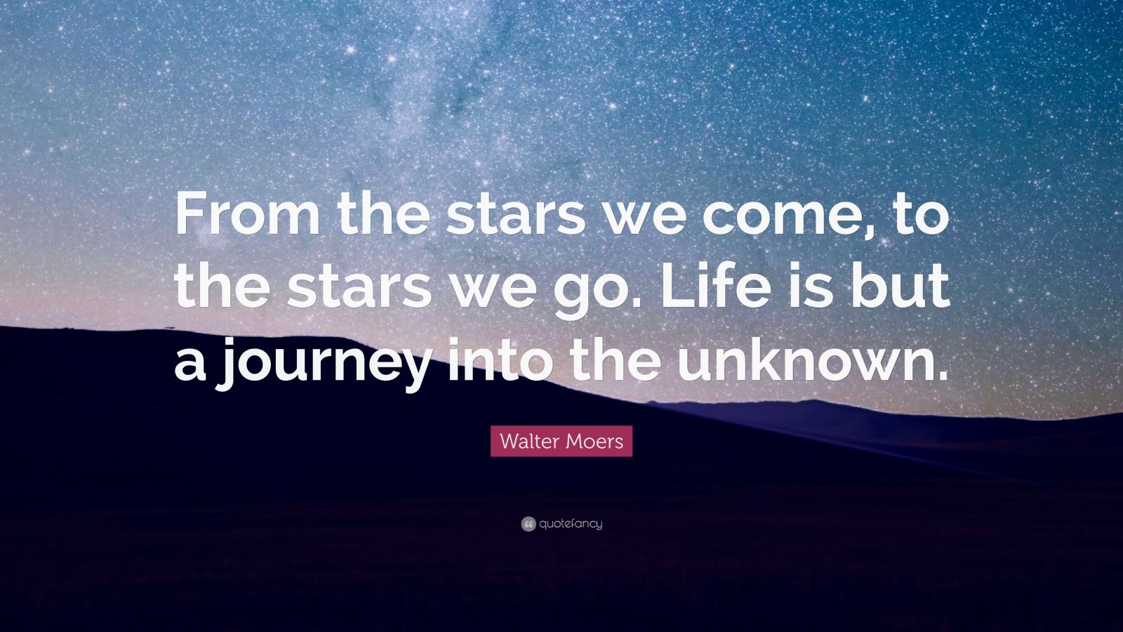 Top 40 Walter Moers Quotes (2026 Update) - QuoteFancy